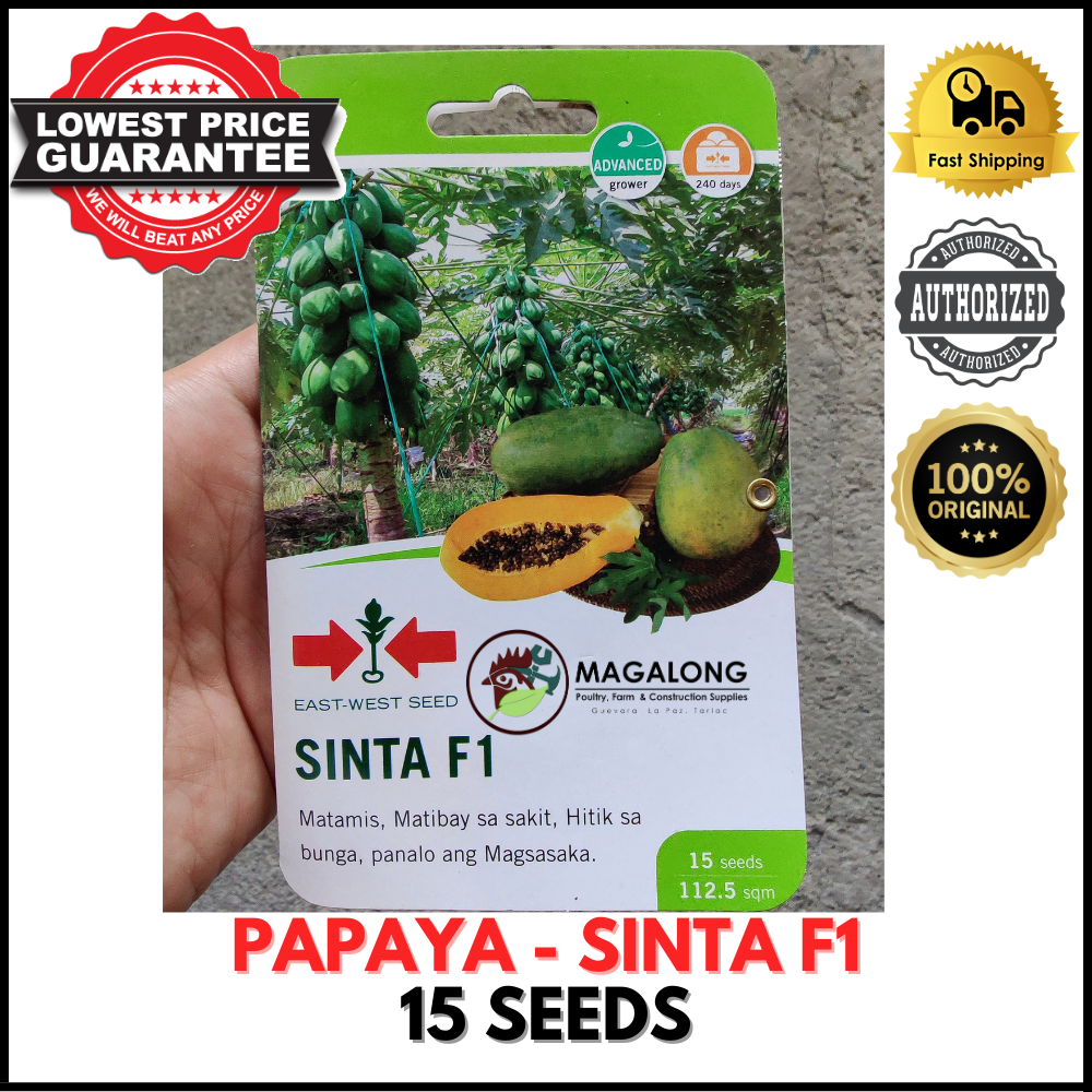 EAST-WEST SEEDS - PAPAYA SEEDS - SINTA F1 HYBRID 15 Seeds | Lazada PH