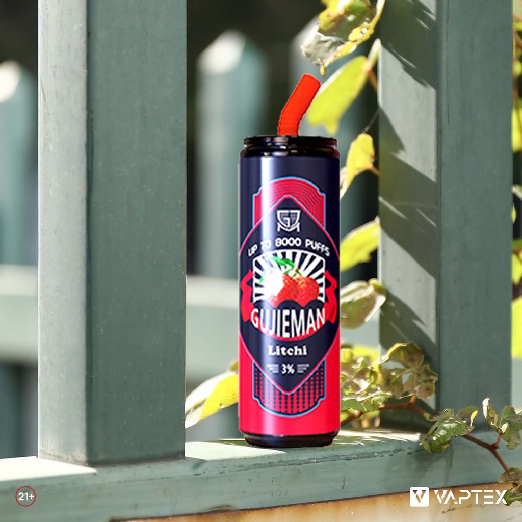 MENTHOL 8000 puffs legit Disposable vape Pod SMOKE 850 mAh PK 6000 ...