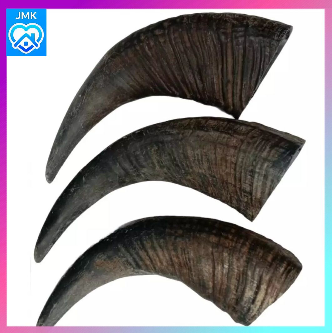 JMK Dog Toys Real Philippine Carabao Horn (Dog Teether/Treats) per piece | Lazada PH