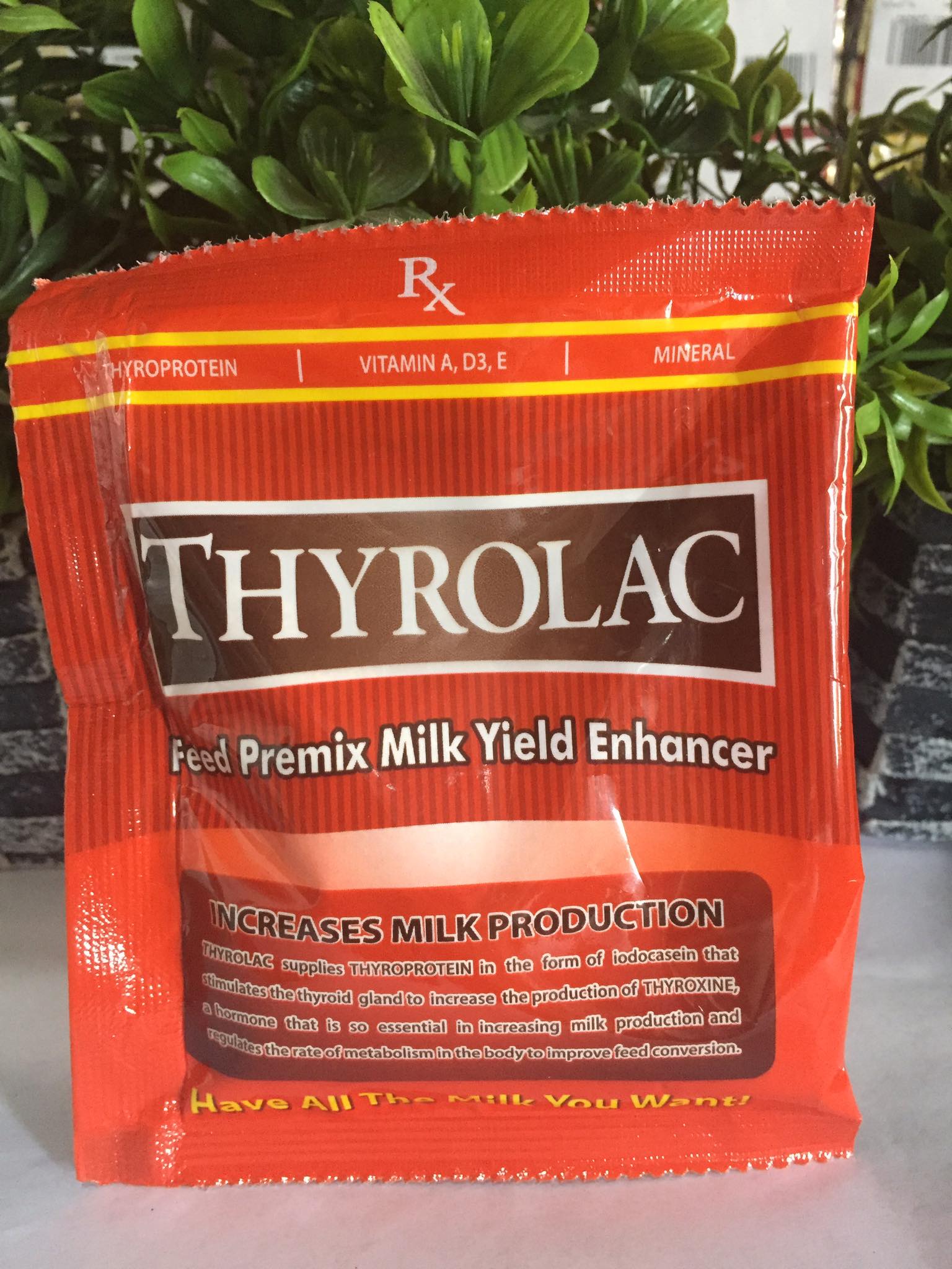 Thyrolac Feed Premix Milk Yield Enhancer 50gms | Lazada PH