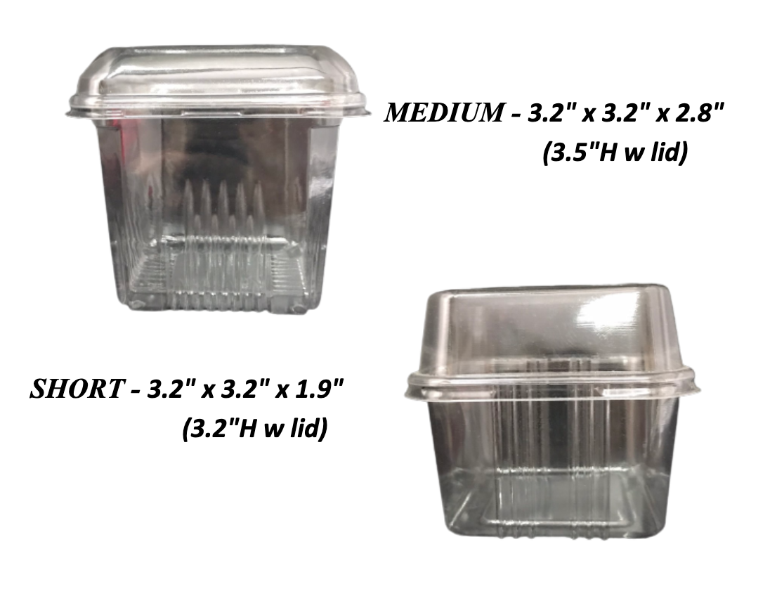 Square Deli Container with LID | Lazada PH