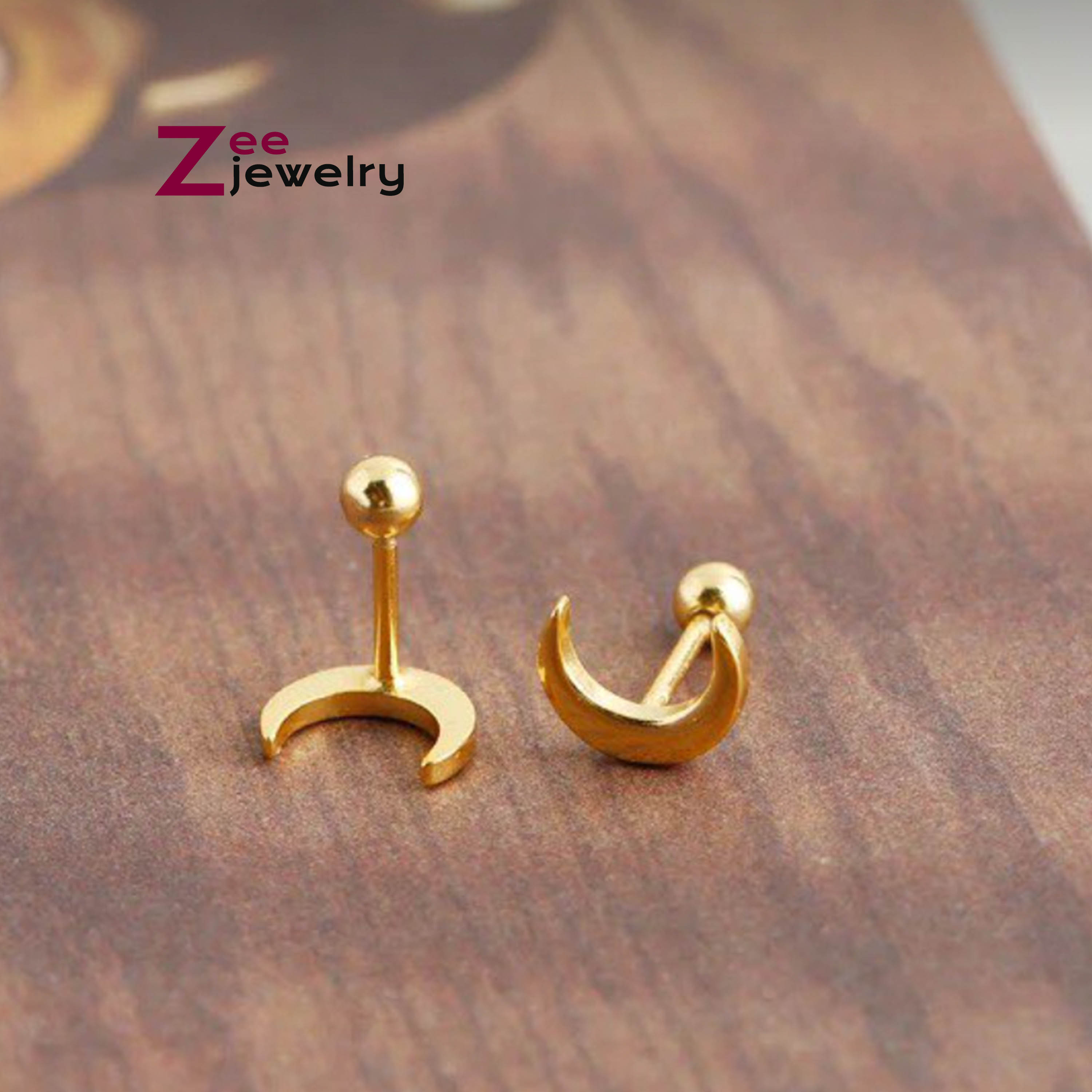 Zee Moon De roscas/ Screw lock Earring Hypoallergenic | Lazada PH
