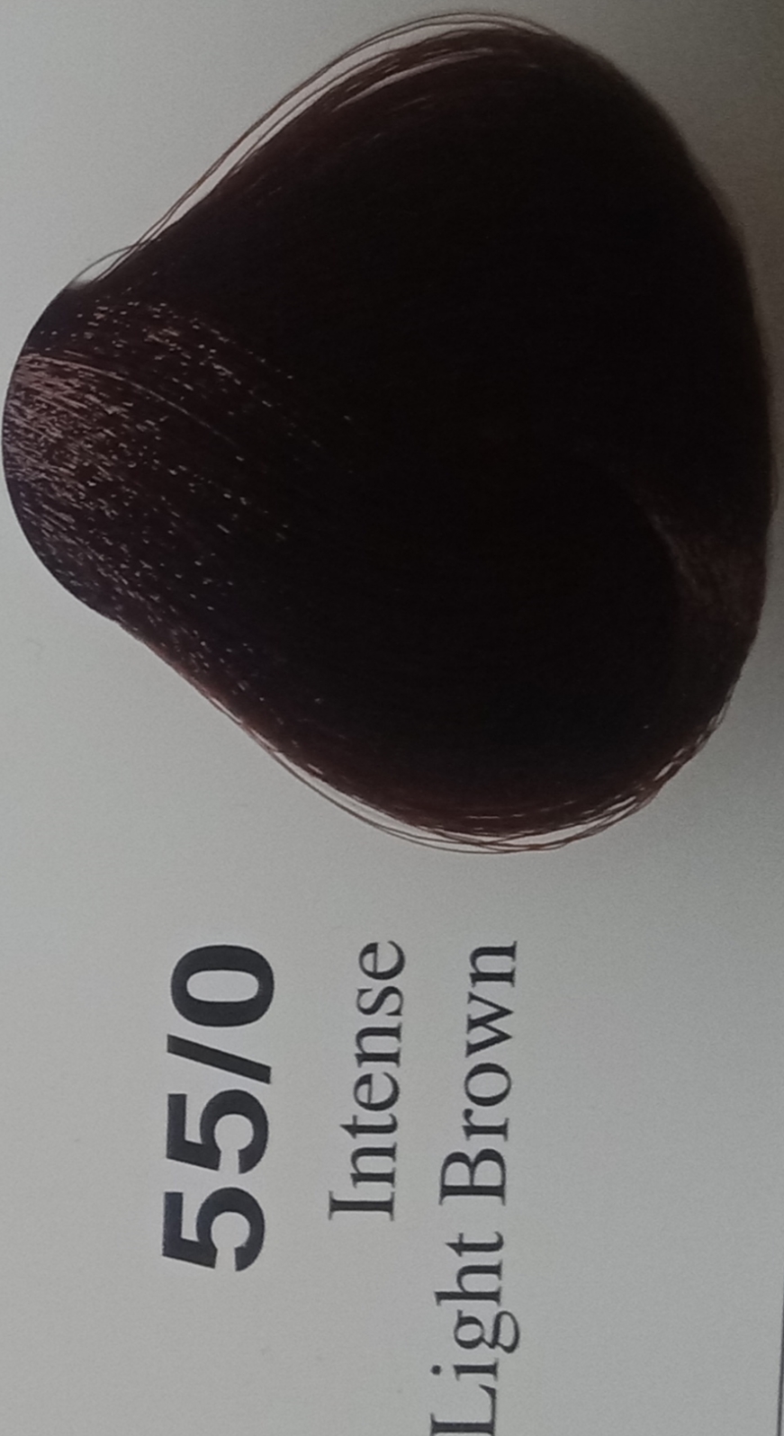 EPSA Hair Color 100ml with Oxidizer 120ml set | Lazada PH