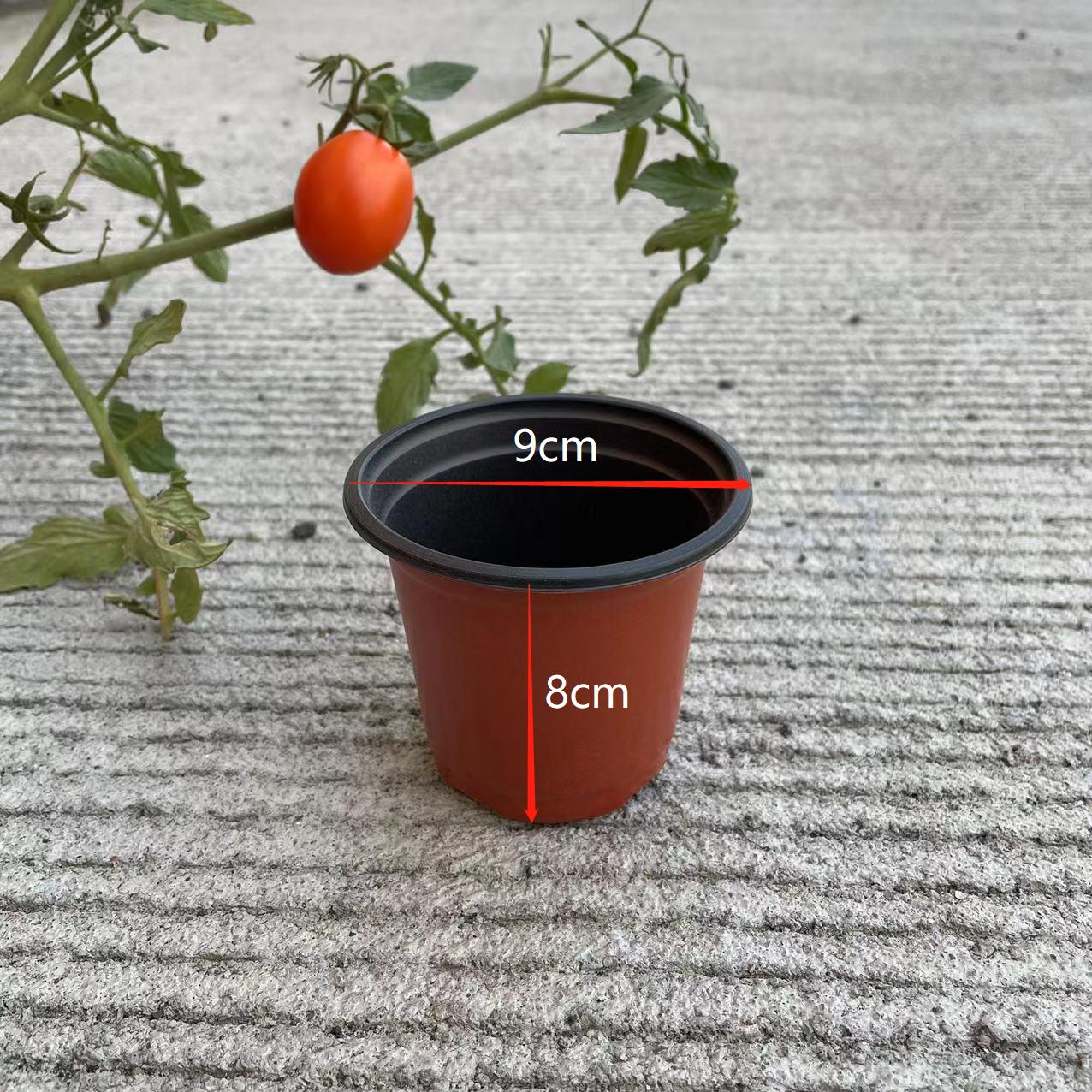 M&A PHC 25pcs /set (9cm-15cm) PVC Soft Pots/ Plastics Pots/ Terracota ...