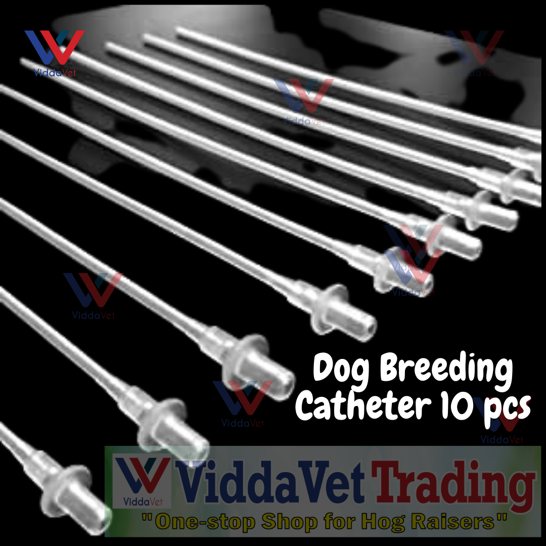 Dog Breeding Catheter Disposable Flexible Disposable Flexible Easy to ...