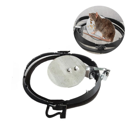 Mouse trap reusable mouse clip catch mouse pest control | Lazada PH