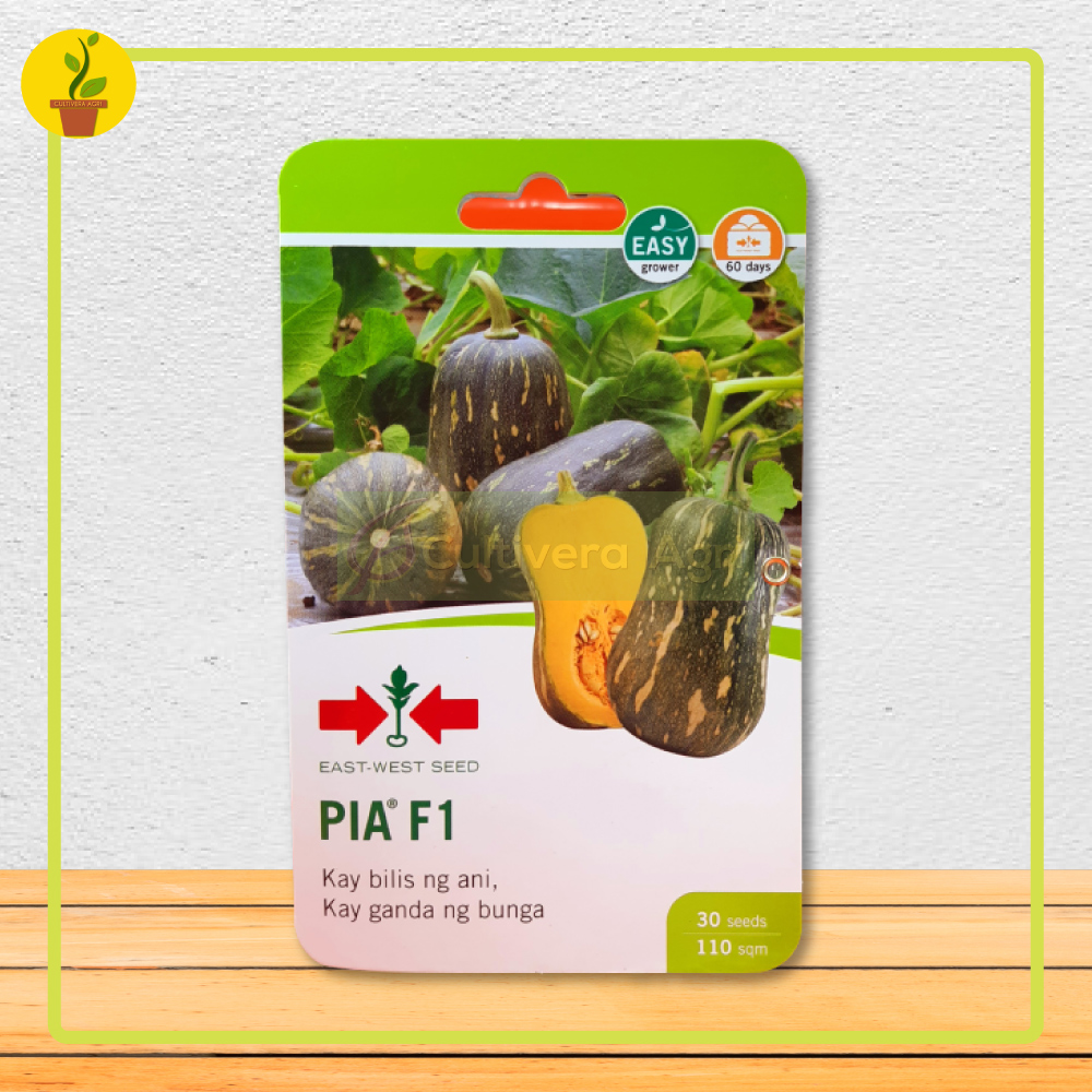 Calabaza Pumpkin Seeds (Pia F1) [30 Seeds Go Grow Packet] - Eastwest By ...