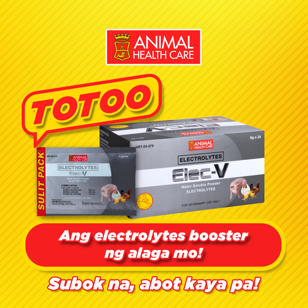 6 packs Elec-V Sachet (6 grams each) San Miguel Animal Health | Lazada PH