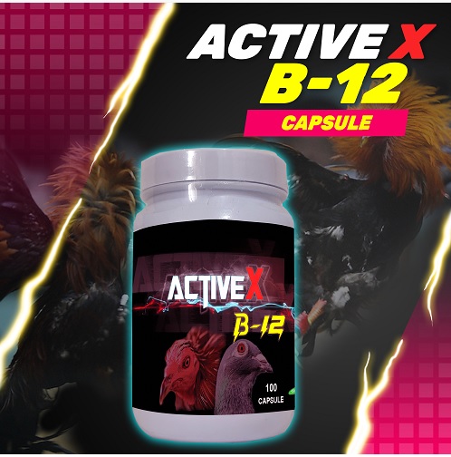 ACTIVEX B12 Capsule 1000mcg | Lazada PH