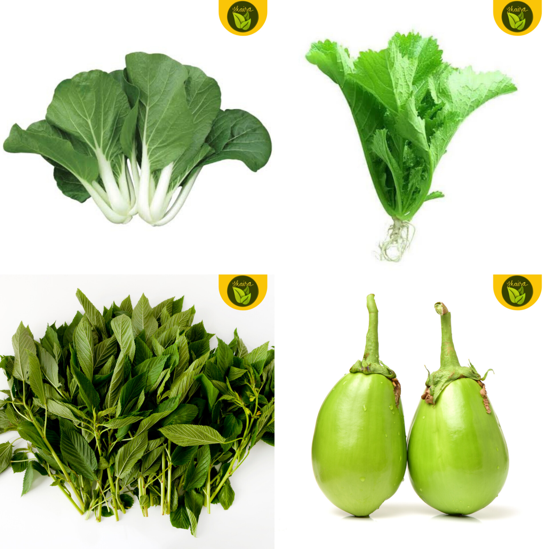 all in! 4 in 1 pack seeds binhi pantanim 100 pechay, 100 mustasa, 50 ...