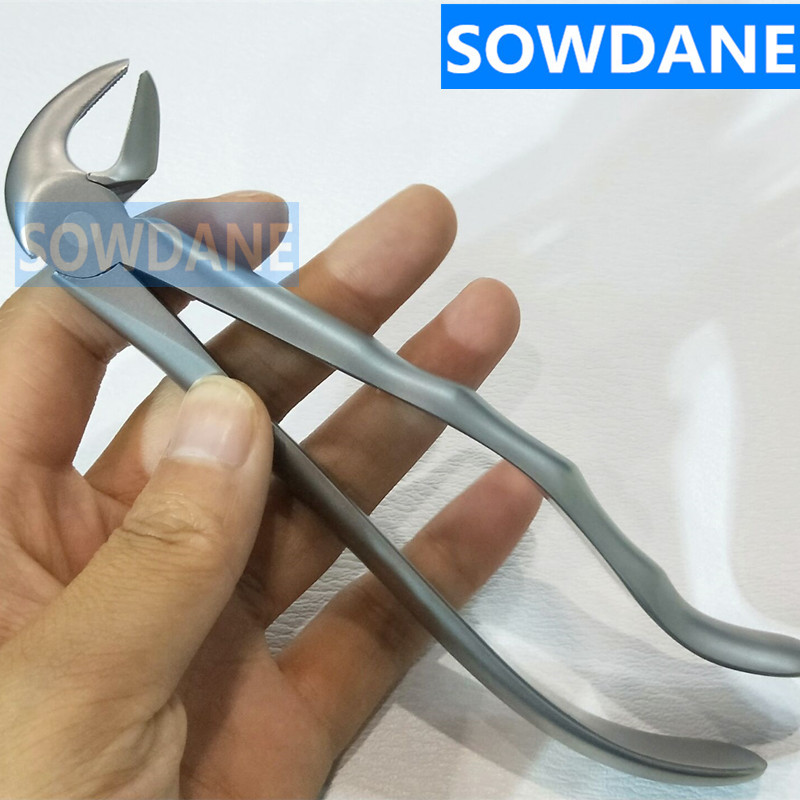 High Quality Stainless Steel Dental Tooth Extraction Plier For Lower ...