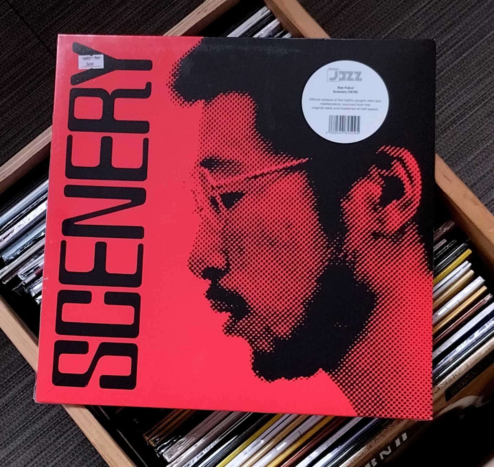 Ryo Fukui – Scenery | Vinyl LP The Grey Market Records | Lazada PH