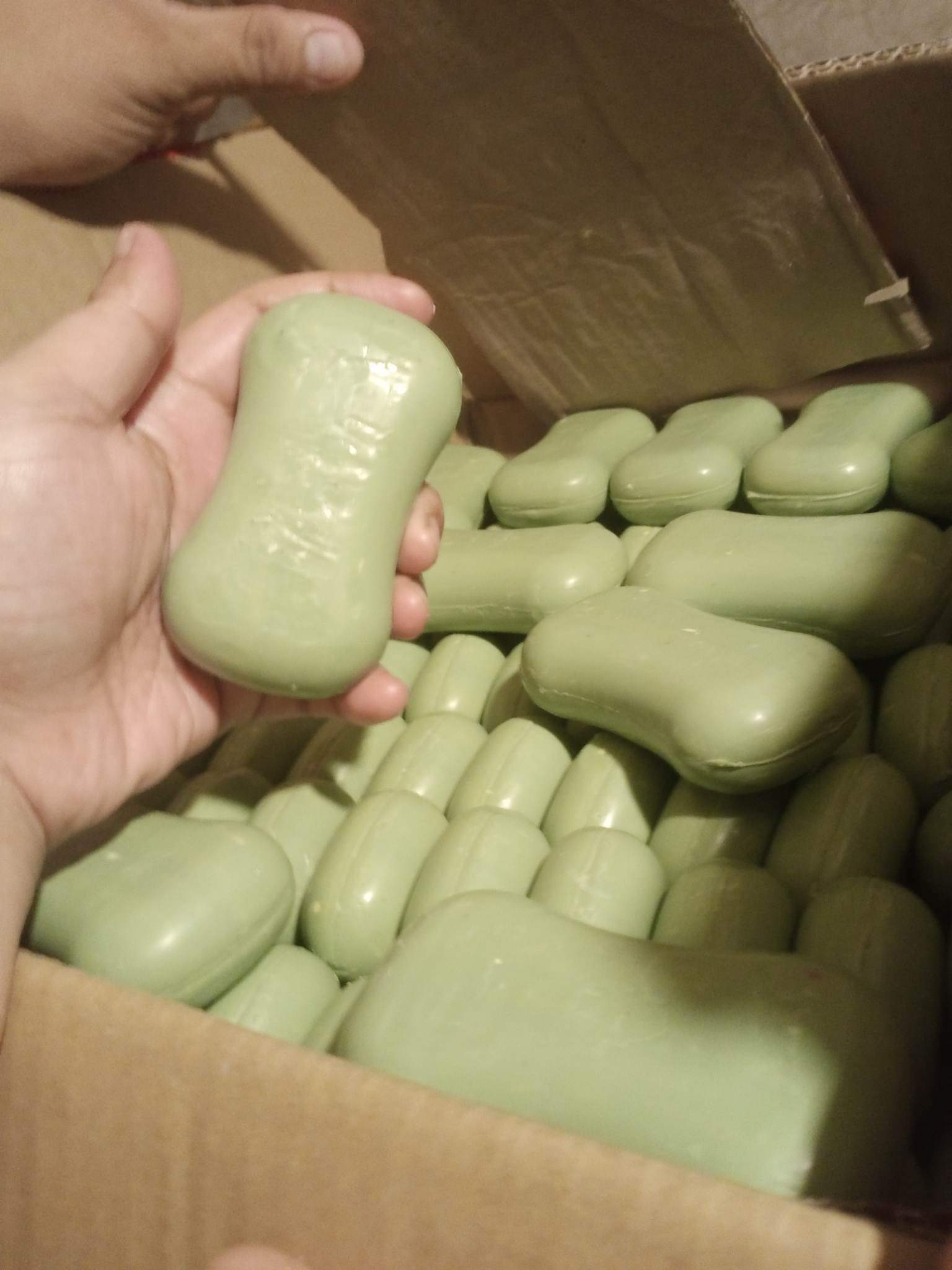 Rebar boneshape SG bath soap 4pcs | Lazada PH