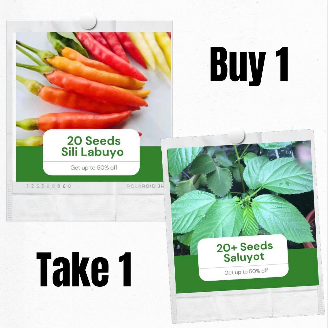 Buy 1 Take 1 Sili Labuyo at Saluyot Seeds Vegetable Outdoor Plant ...