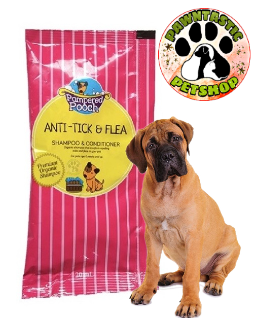 Pampered Pooch Shampoo and Conditioner 20mL - Anti Tick and Flea ...