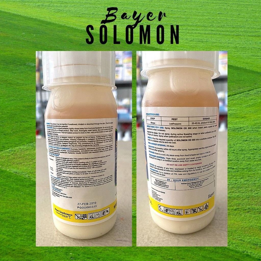 Bayer SOLOMON OD 300 100ml Insecticide durable | Lazada PH