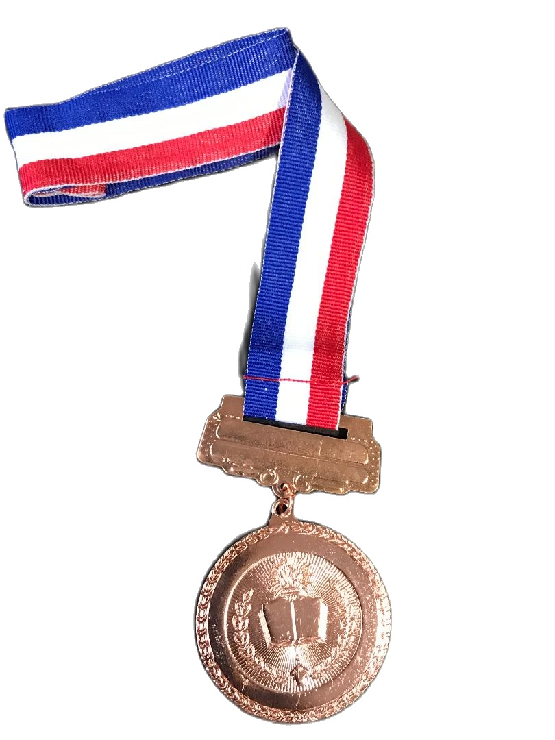 Book and Torch Medals 3.5cm Bronze ( 5 PCS PER ORDER ) | Lazada PH