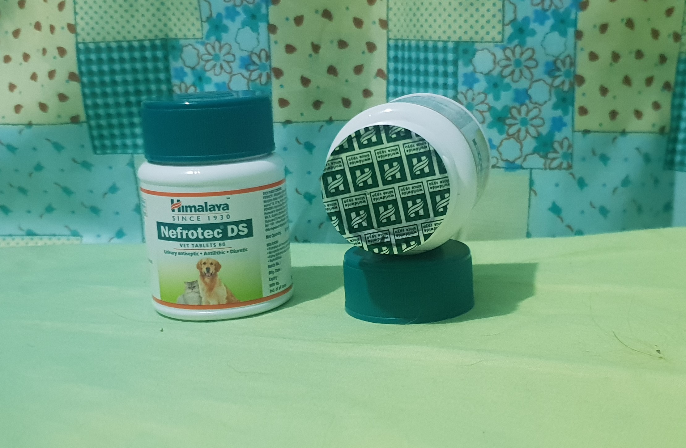 Himalaya Nefrotec DS for dogs and cats (60 tablets) | Lazada PH