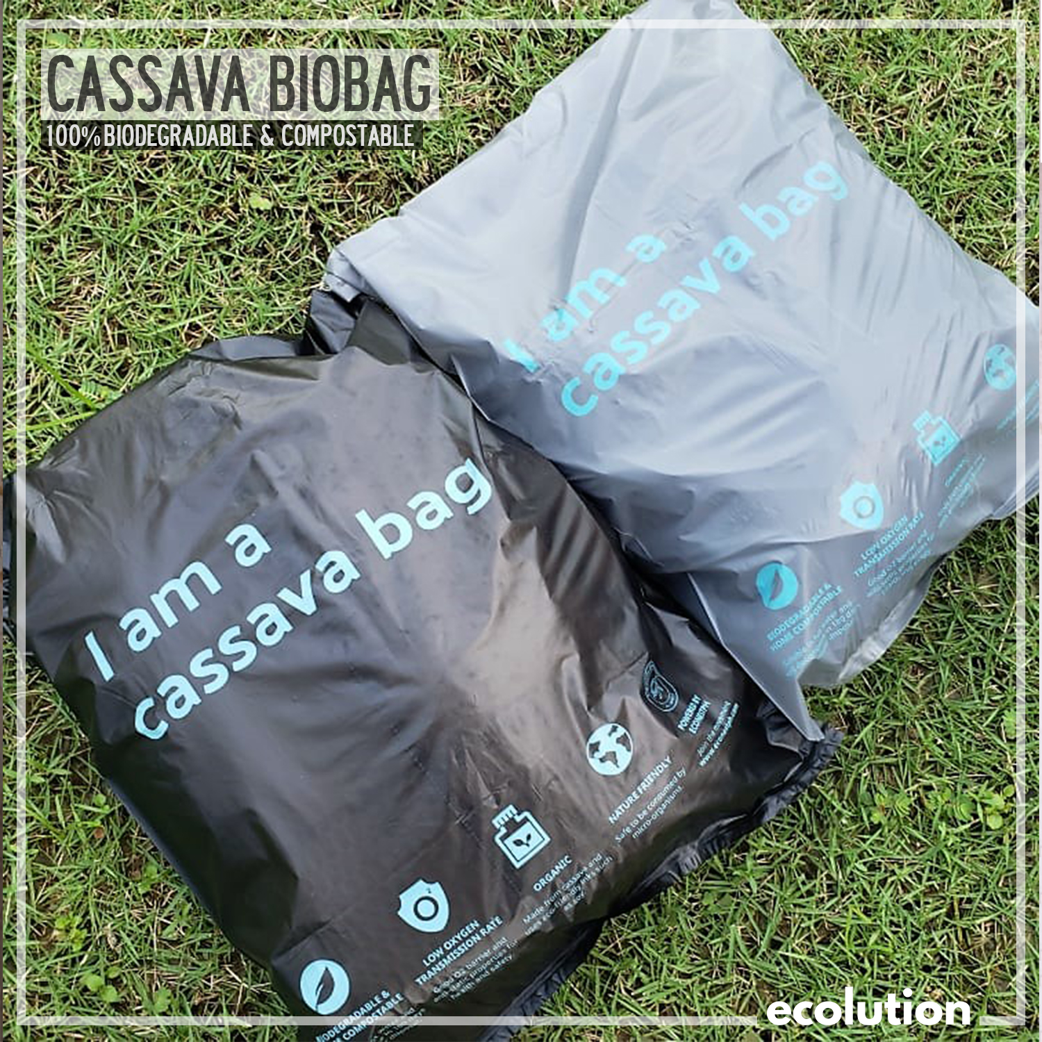 Cassava Bio Bag | Lazada PH