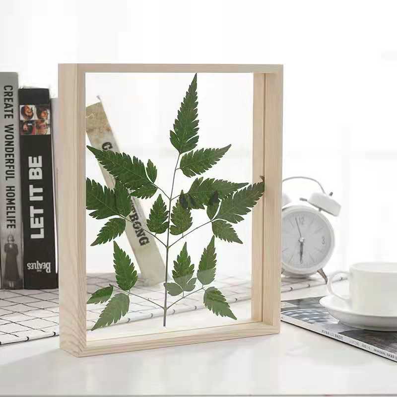 shadow box frame Wooden Picture Frames Double Sided Glass Plant ...