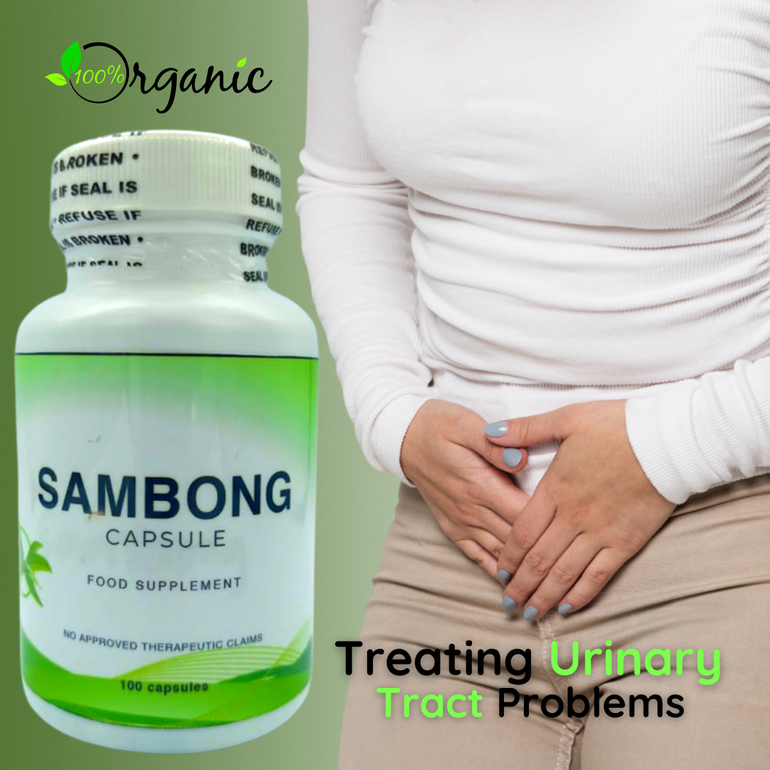 |PET ORGANICS] SAMBONG CAPSULES 100% Pure Anti-UTI and Kidney Stones ...