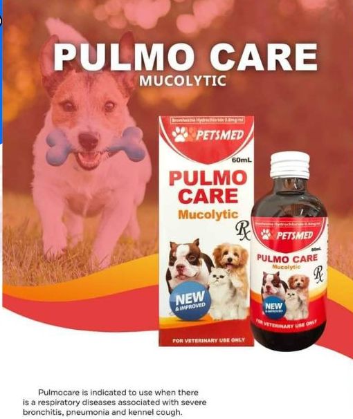 PulmoCare Syrup for Dog and Cat 60ml with FREE SYRINGE | Lazada PH