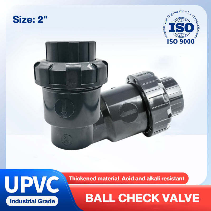 Check valve size 2 inch check valve PVC check valve swimming pool check ...