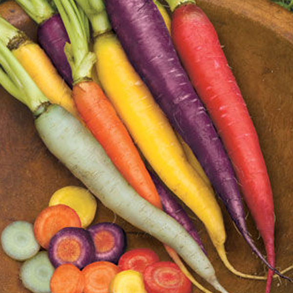 Rainbow Mix Carrot Seeds - Carrot Rainbow Mix Seeds - Rainbow Carrot ...