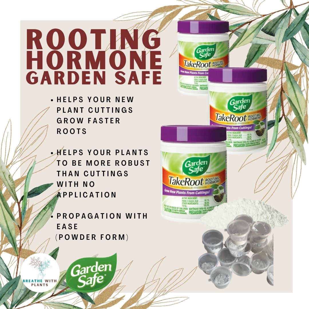 Garden Safe Take Root Rooting Hormone 2 Grams HIGHLY EFFECTIVE BEST ...