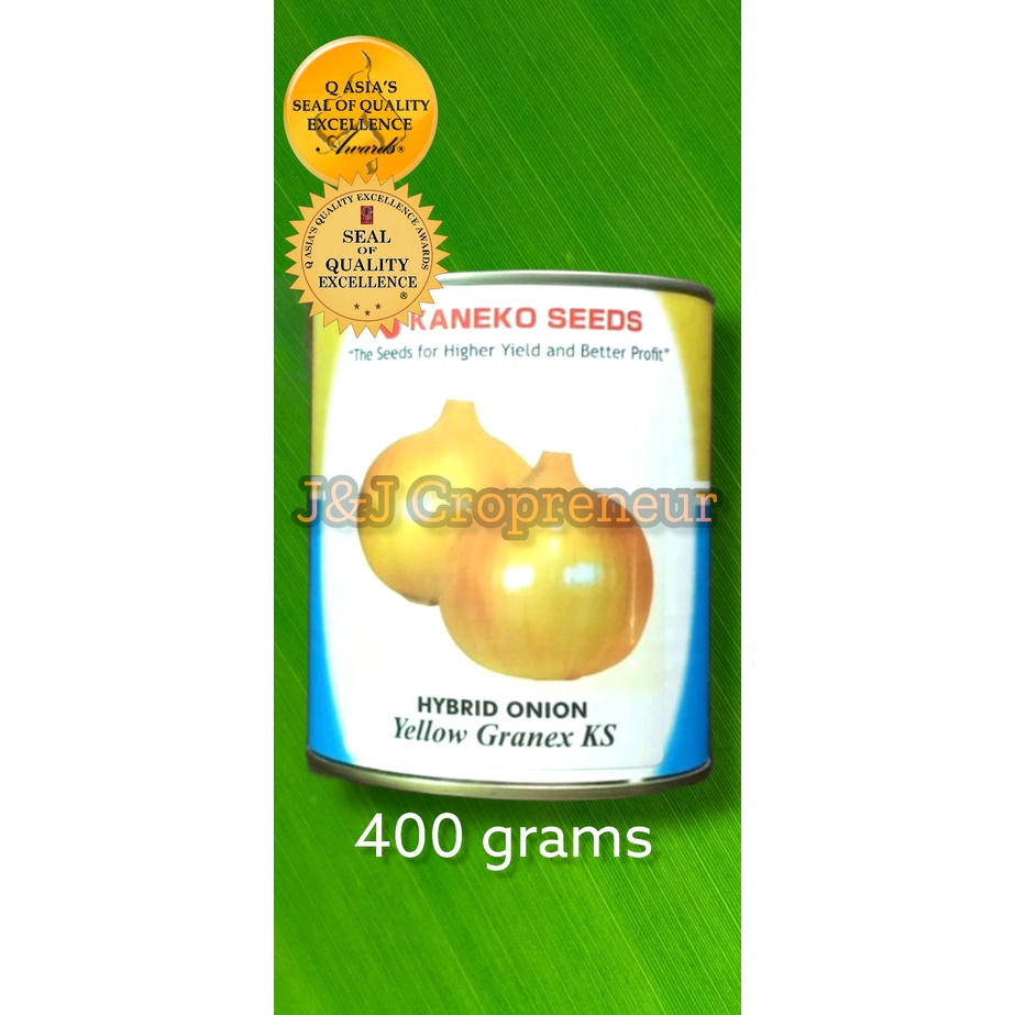 YELLOW GRANEX KS HYBRID ONION SEEDS 400 GRAMS ORIGINAL PACKING (KANEKO ...