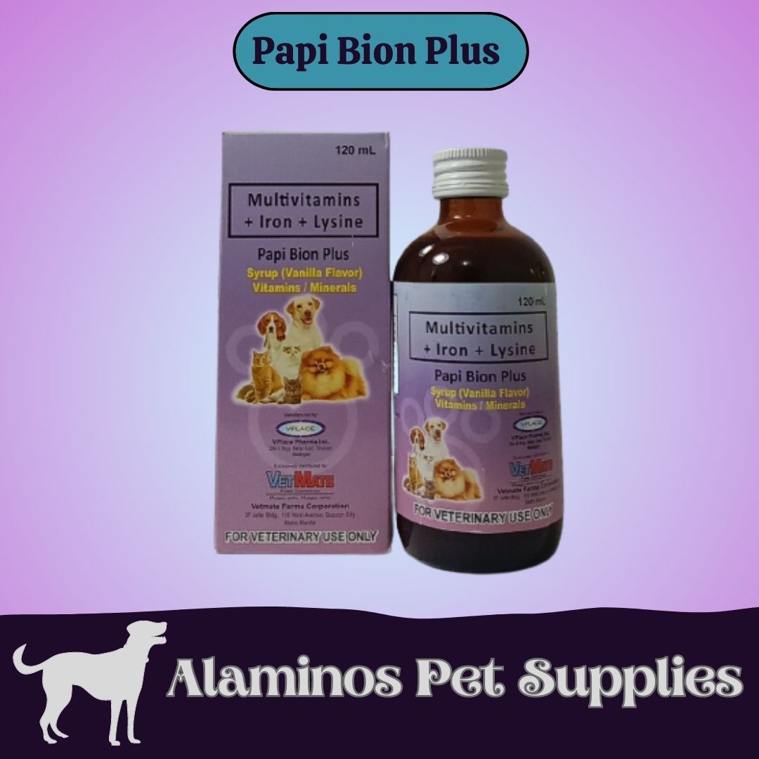 [APS] PAPI BION PLUS 120ml/Multivitamins/Vanilla Flavor/ IRON plus ...
