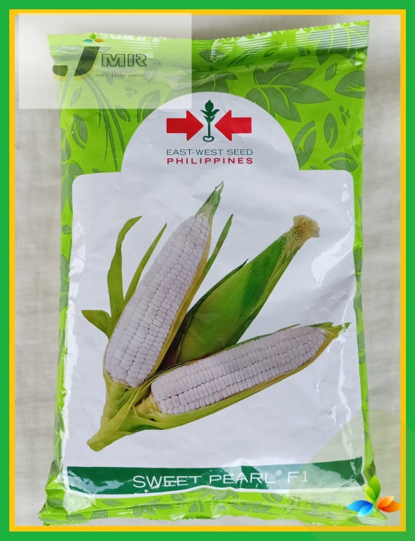 White Corn Sweet Pearl F1 1 Kilo by East West Seeds | Lazada PH