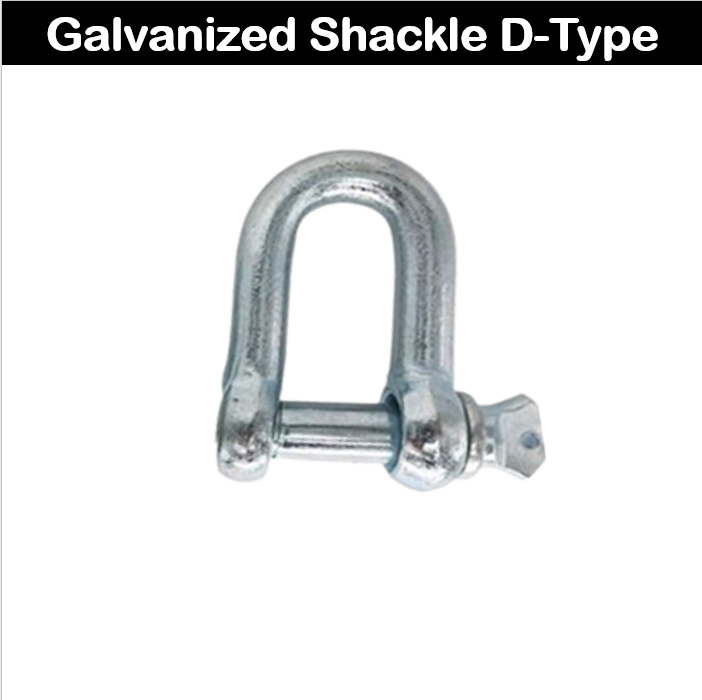 B&N 6mm 1pc Galvanized Shackle D type Shackle European Type Galvanized ...
