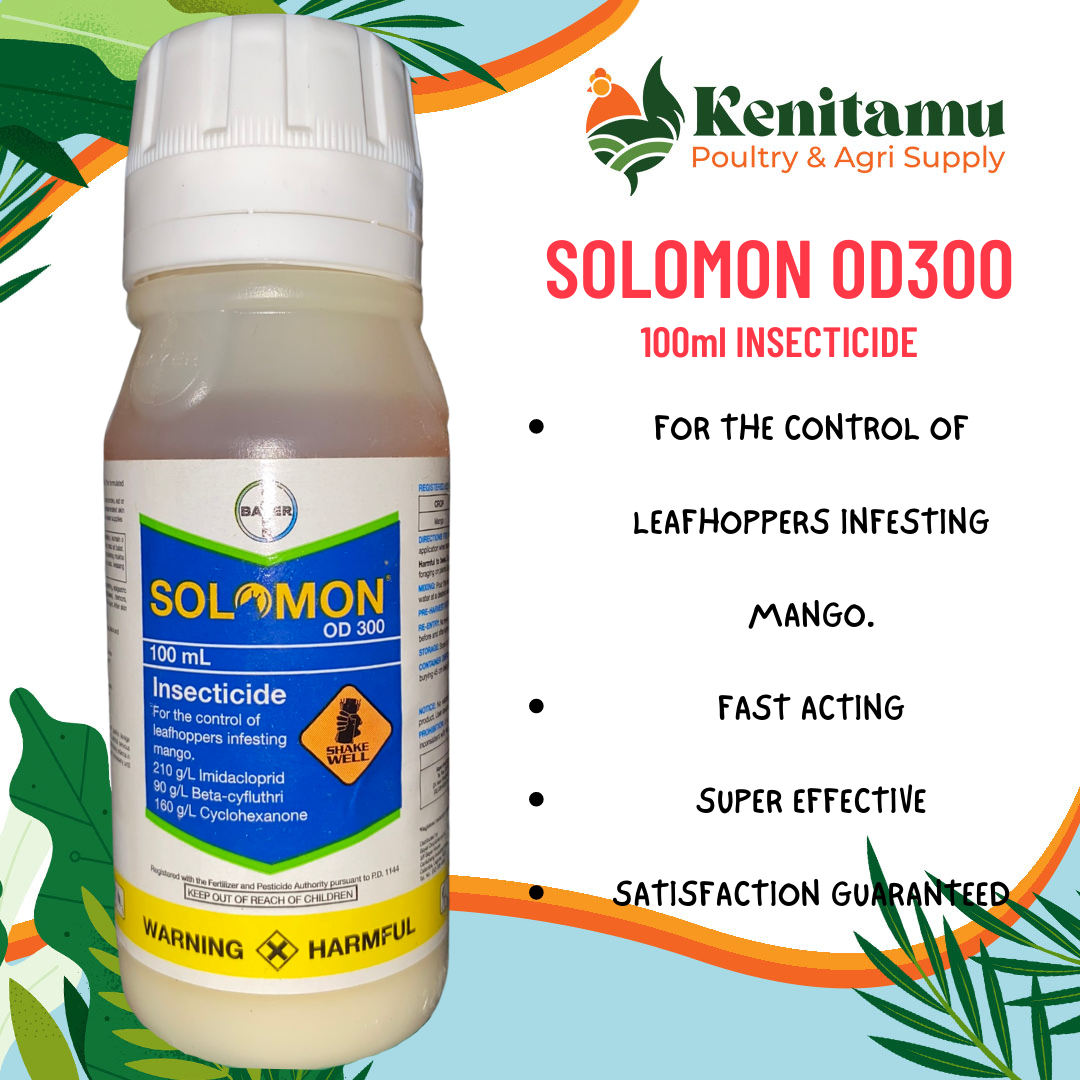 Bayer Solomon Insecticide, 56% OFF