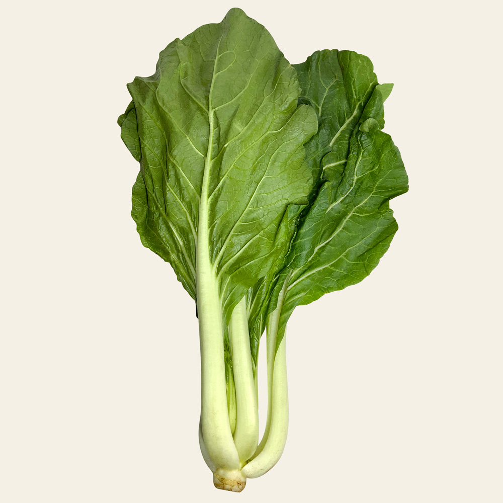 Farmers Lane - Fresh Pak Choy - Pechay Tagalog - Locally Sourced ...