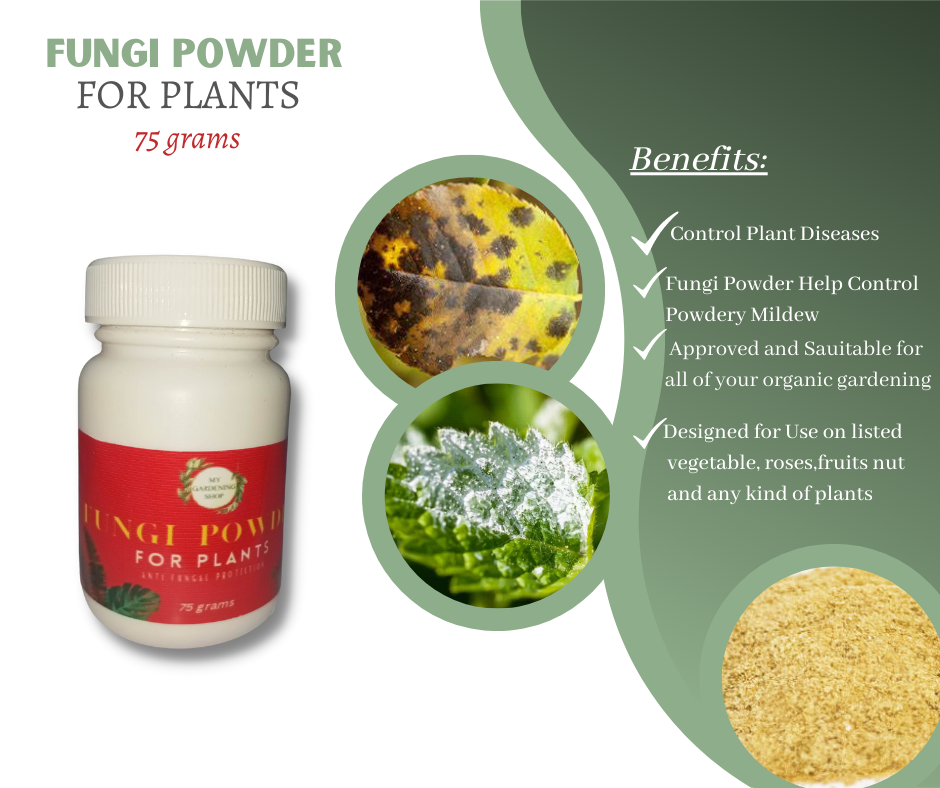 FUNGI POWDER FOR PLANTS | Lazada PH