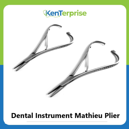 Dental Instrument Mathieu Plier | Lazada PH