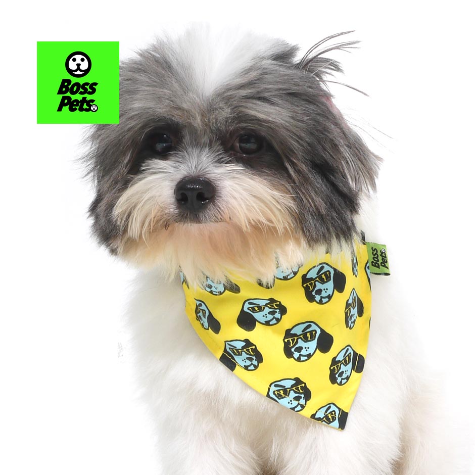 BOSS PETS Cool Dog (Pet Scarf) | Lazada PH