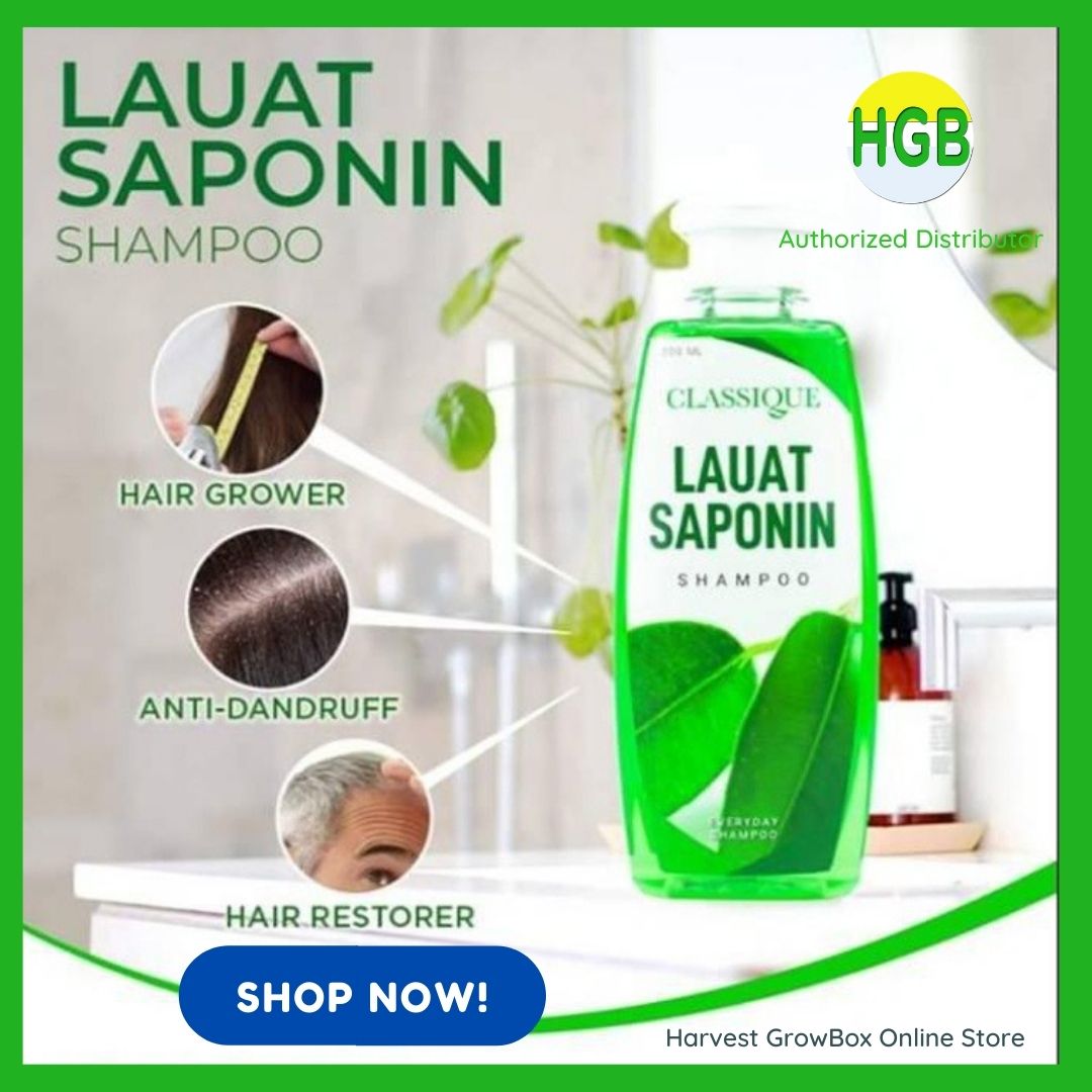 LAUAT SAPONIN SHAMPOO |CLASSIQUE HERB 100% ORIGINAL ,Food for the Scalp ...