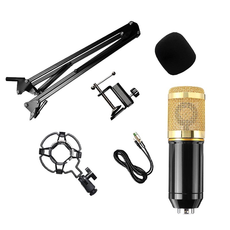Bm 800 Condenser Microphone With Sound Card at Francisco Donnelly blog