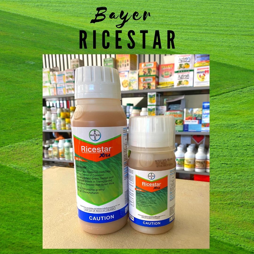 Ricestar xtra 500ml and 250ml Herbicide | Lazada PH