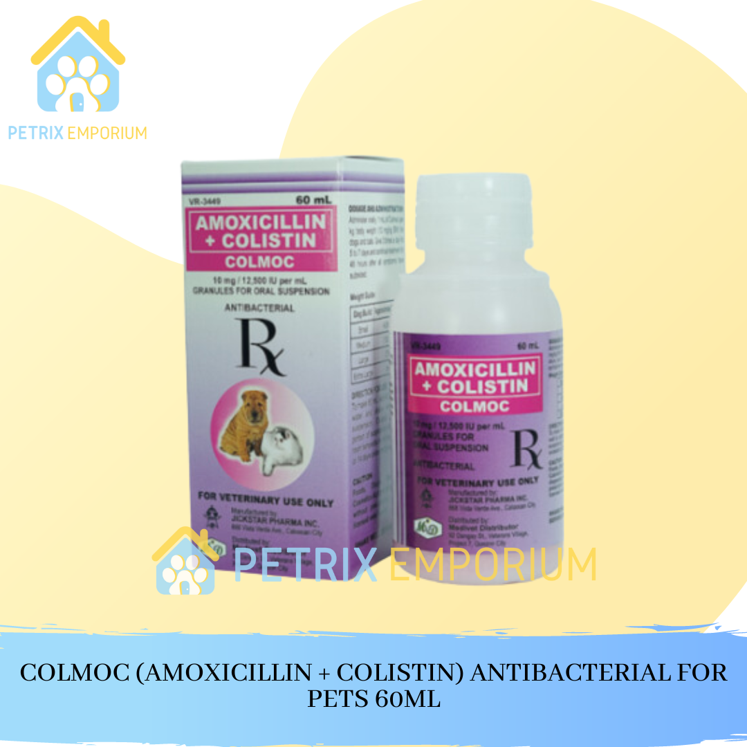 Colmoc (Amoxicillin + Colistin) Antibacterial for Pets 60ML | Lazada PH