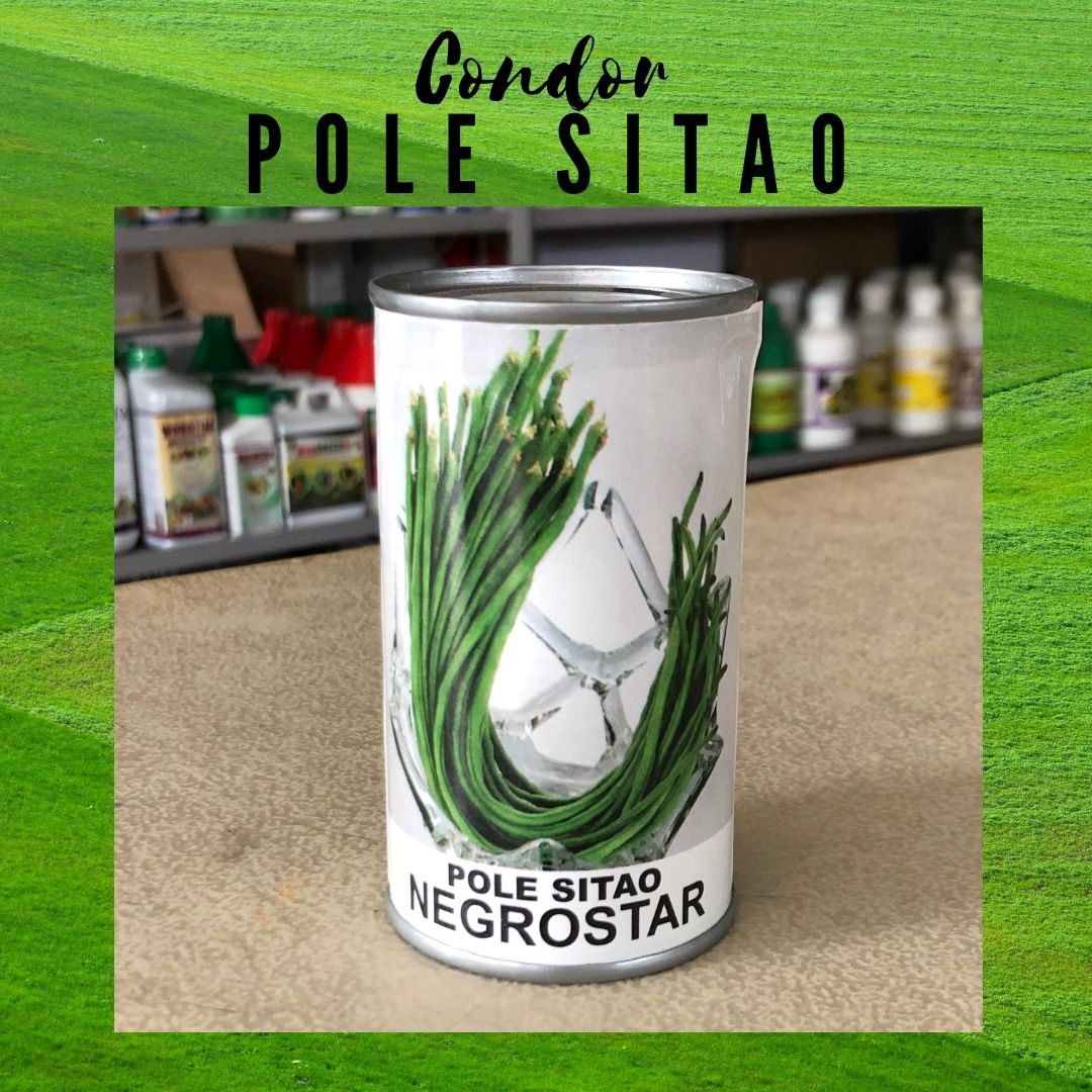 CONDOR Junior Can Okra, Hot Pepper, Sitaw and Tomato Seeds Ampalaya ...