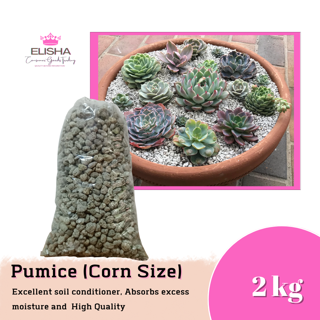 🌱ELISHA l 2 KILOGRAMS Pumice Stone CORN Size Stones For Plants ...