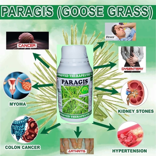 Onhand Paragis (Highest Strength) 60cap x 500mg | Lazada PH