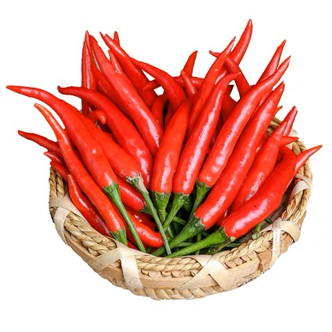 FAMILIFE (500 seeds) Red Sili Seeds for Planting/Red Chili Siling ...