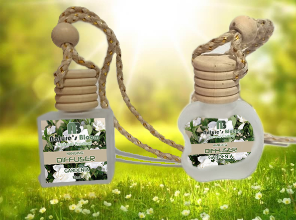 Car Air Refreshner Hanging Diffuser - 10ml | Lazada PH