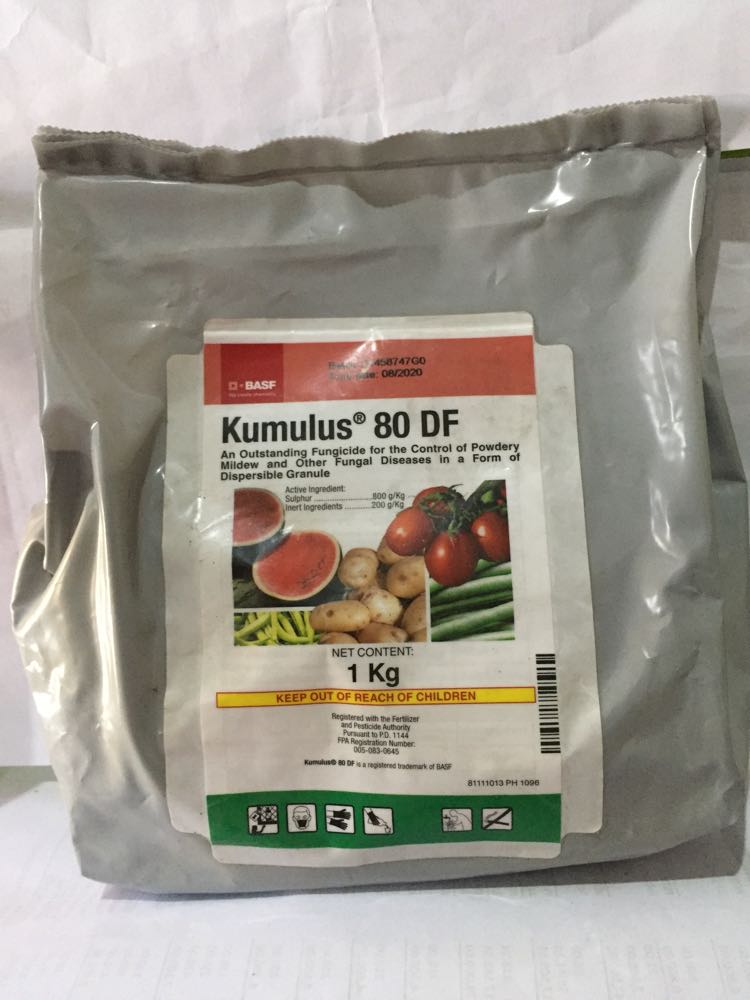 Kumulus 80 DF | Lazada PH