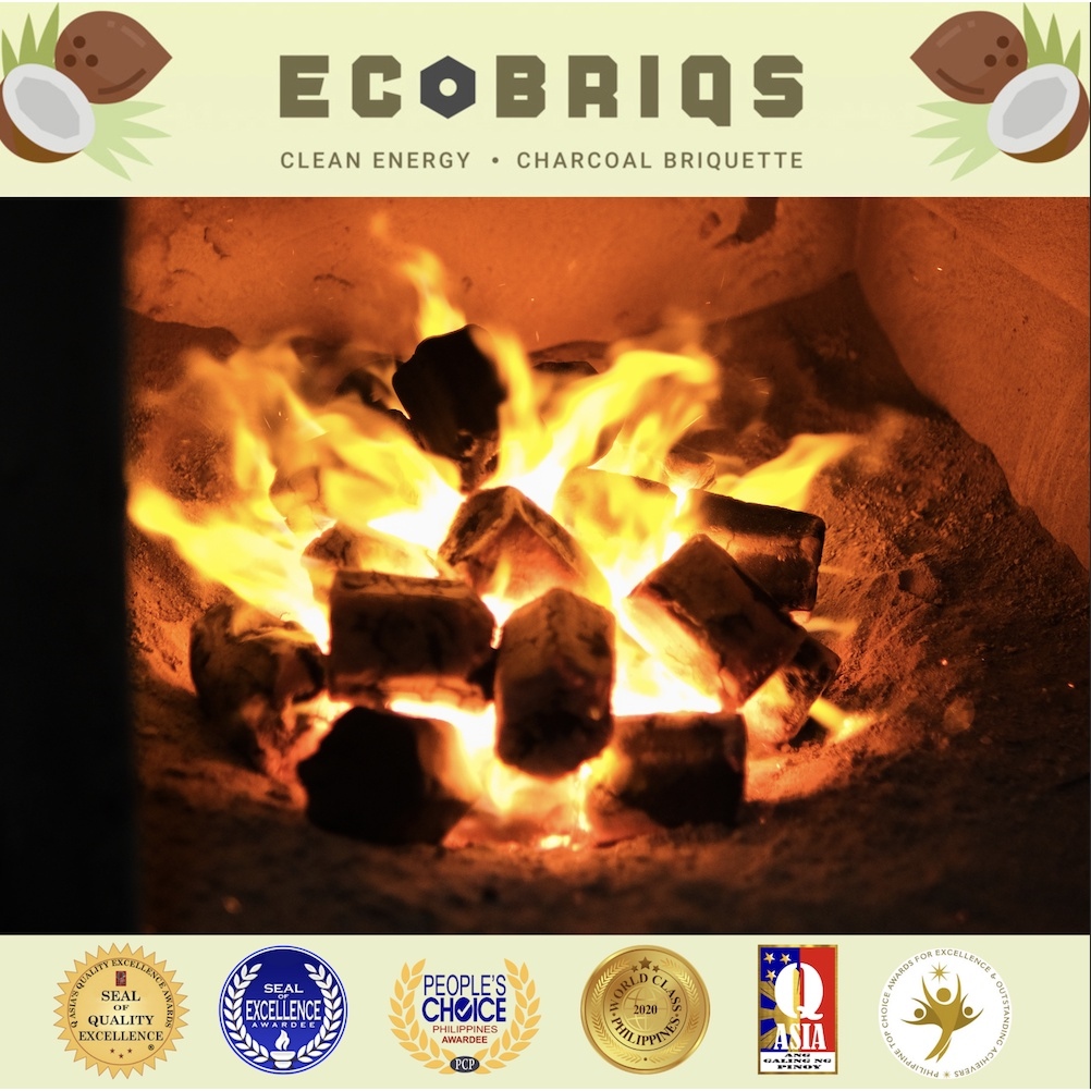 2kgs ECOBRIQS Briquettes Uling ( 24pcs) | Lazada PH