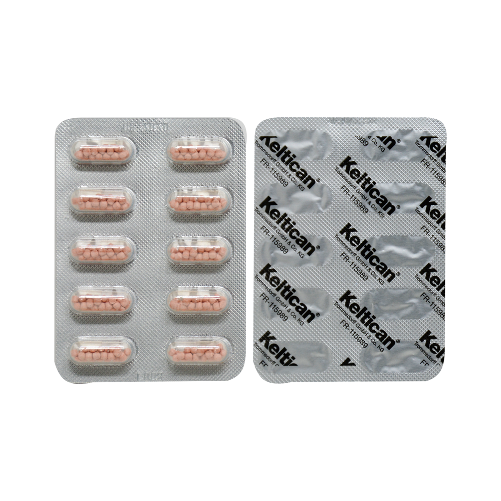 KELTICAN Uridin-5 monophosphate-diNa + Vit B12 + Folic acid 1 Capsule ...